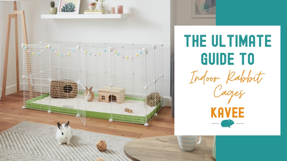 Indoor Rabbit Cages: The Definitive Guide