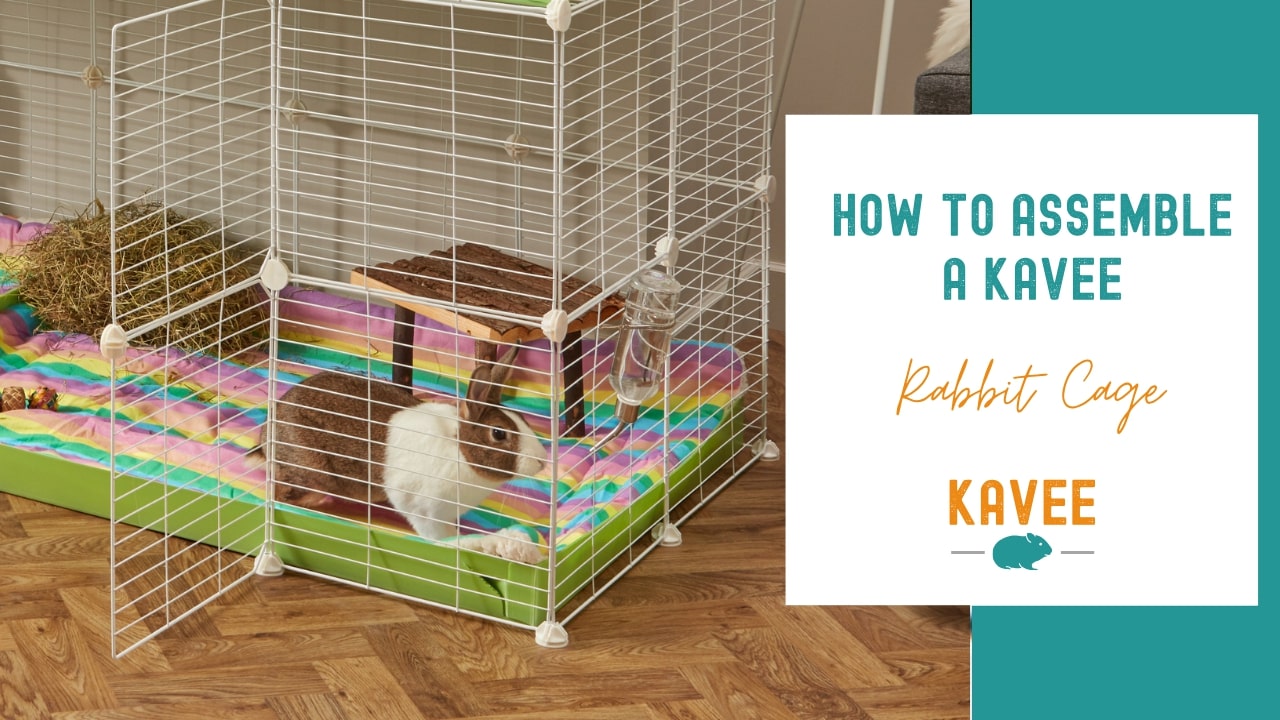 How to Assemble Your Kavee Rabbit Cage: A Step-by-Step Guide