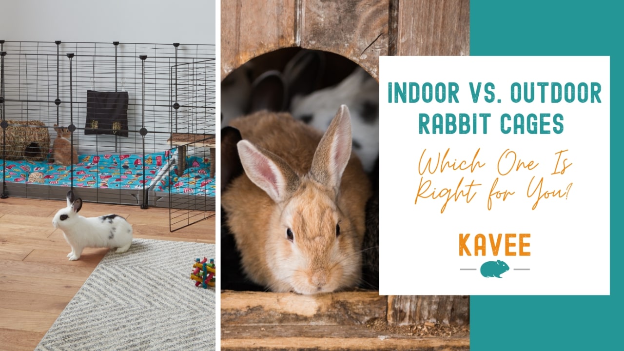 Indoor vs Outdoor Rabbit Cages: Which One Is Right for You?