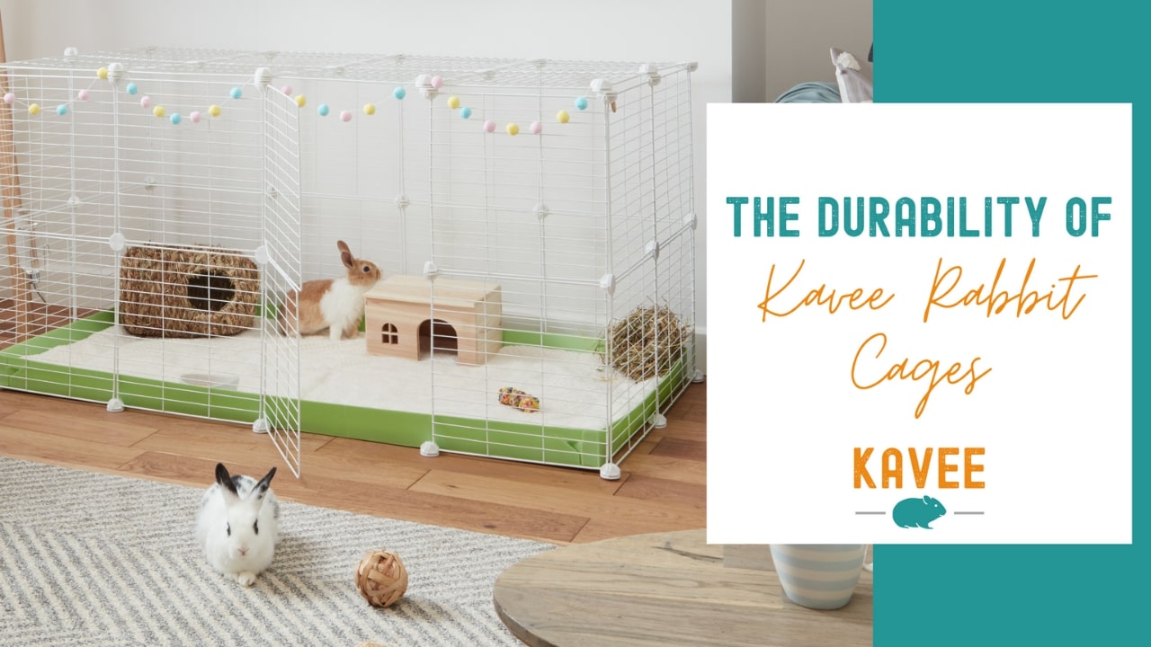 Built to Last: A Closer Look at Kavee Rabbit Cage Durability
