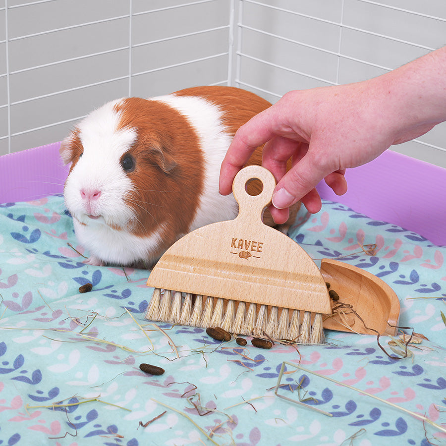 Cleaning Supplies for Small Pet Cages | Kavee USA