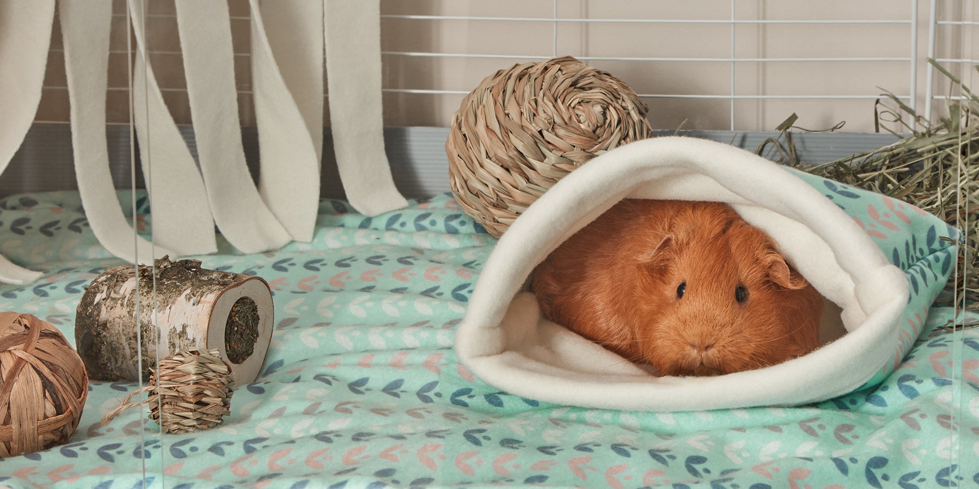Guinea Pig Accessories | Kavee USA – Page 2