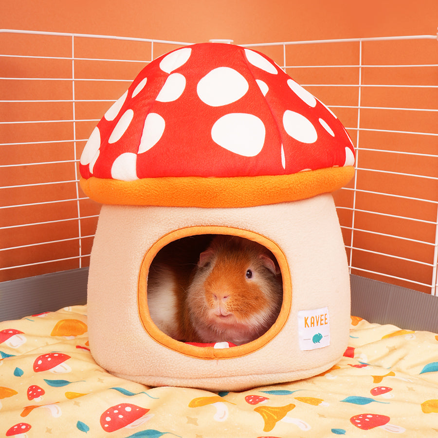 Mushroom Guinea Pig Hidey House - Guinea Pig Bed