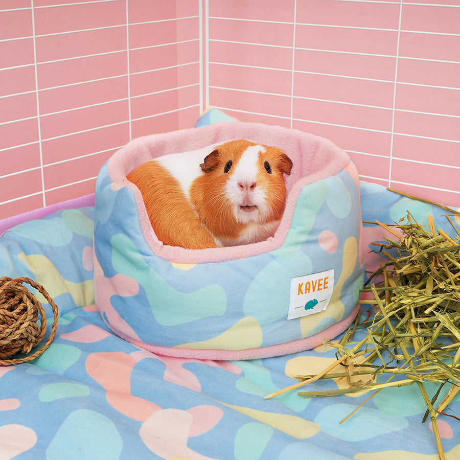 Pastel Colored Guinea Pig Cuddle Cup