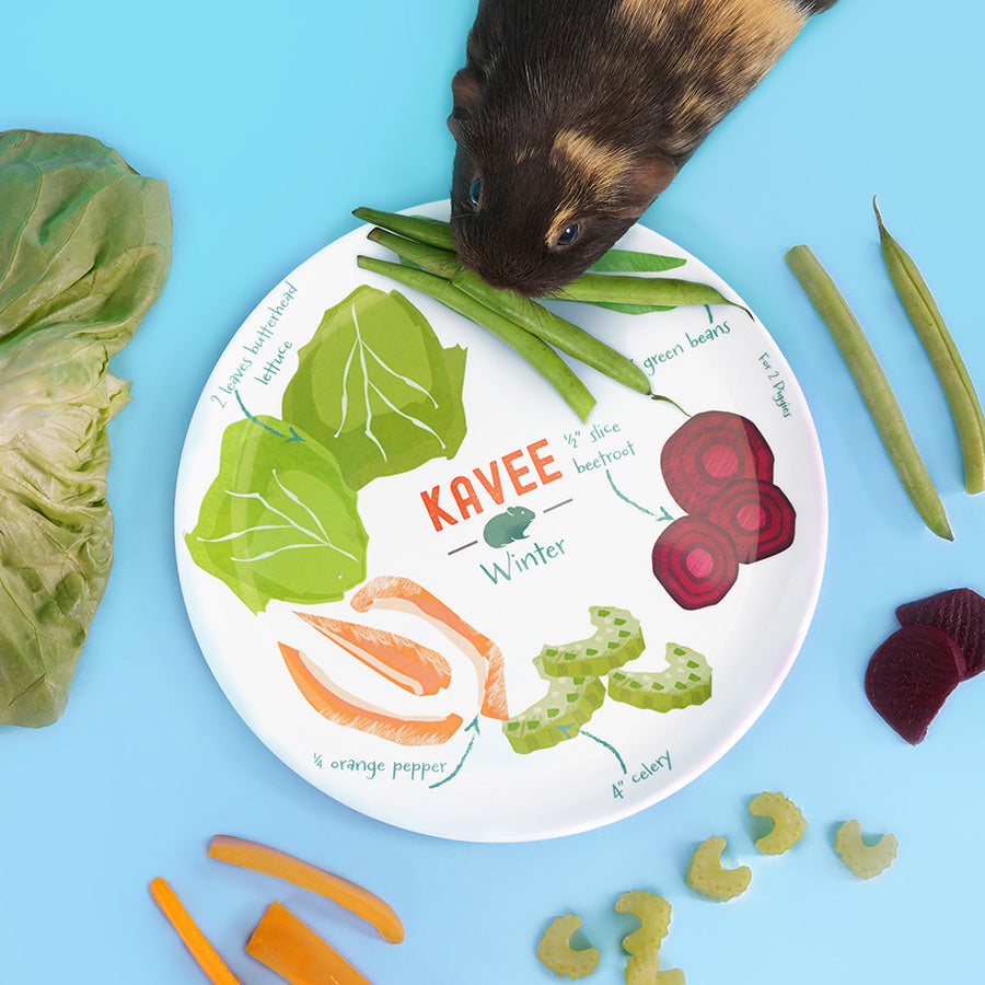 C&C Cages and Fleece Liners for Guinea Pigs & Rabbits | Kavee USA