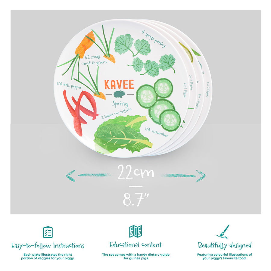 C&C Cages and Fleece Liners for Guinea Pigs & Rabbits | Kavee USA