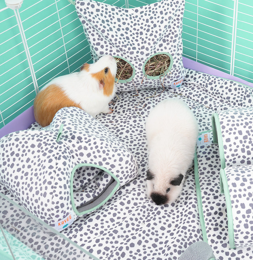 The US Leader for Guinea Pig Products | Kavee USA