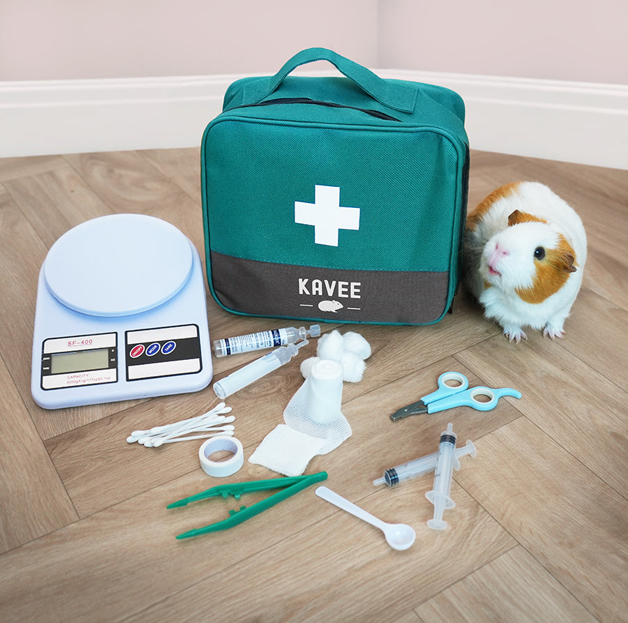 Guinea Pig and Rabbit Medical Kit