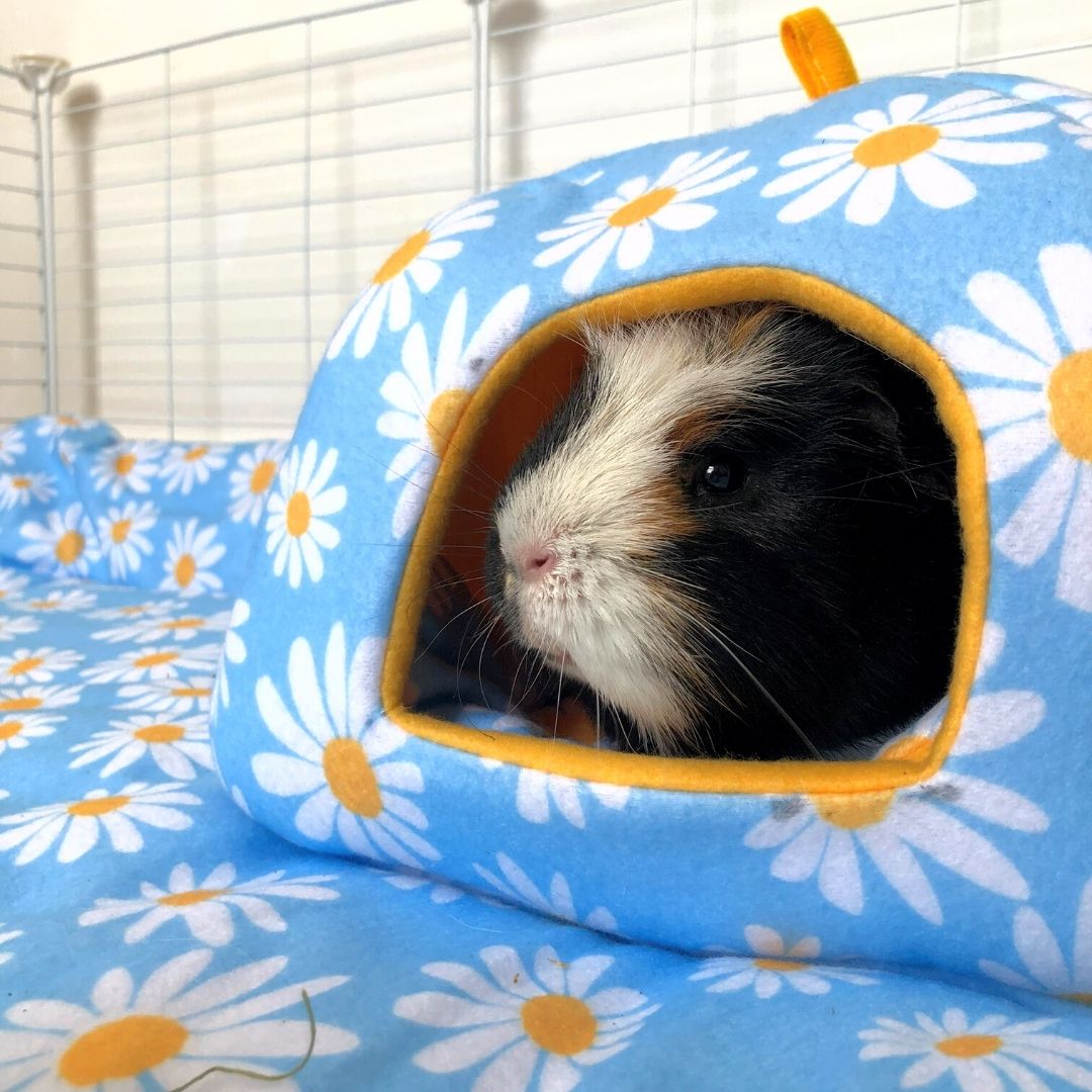 Fleece Hideaway for Guinea Pigs - Daisy - Kavee