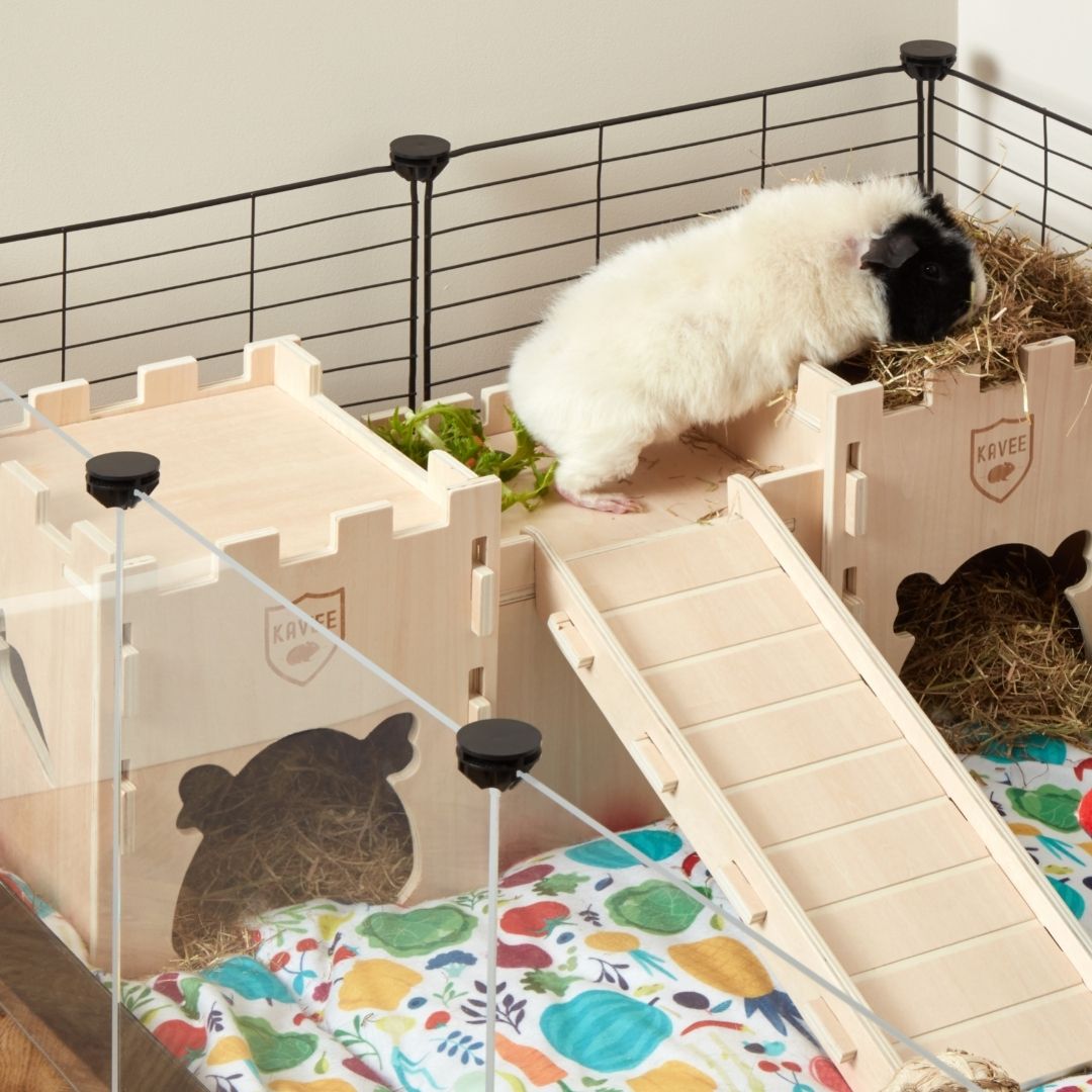 Wooden Castle with Bridge for Guinea Pigs | Kavee Cages USA