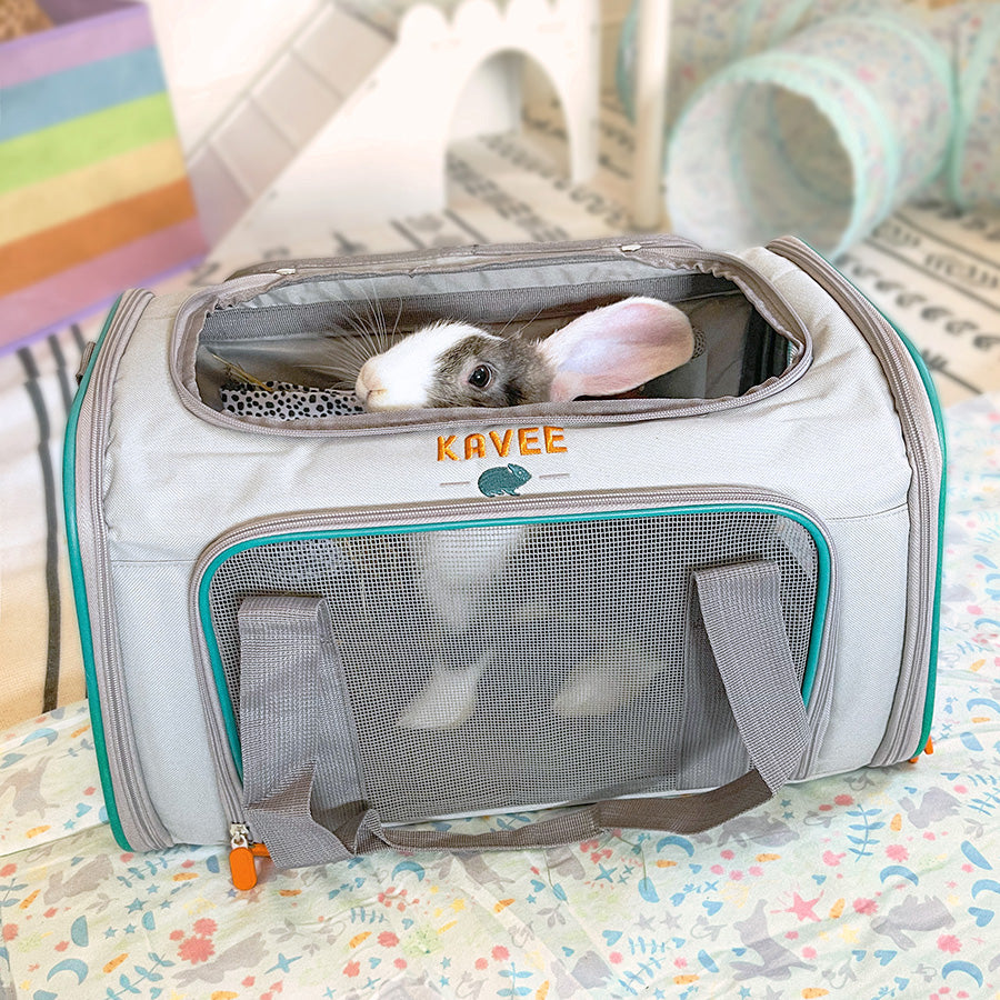Guinea Pig and Rabbit Carrier
